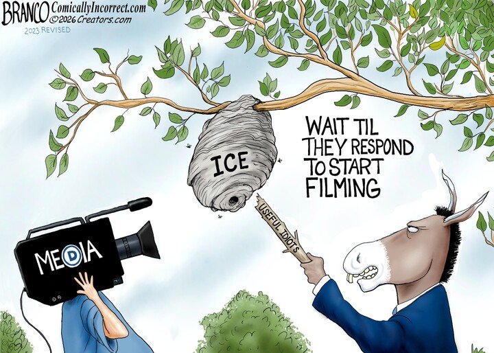 Best political cartoons: Poke it with a stick – Whatfinger News Quick Hits